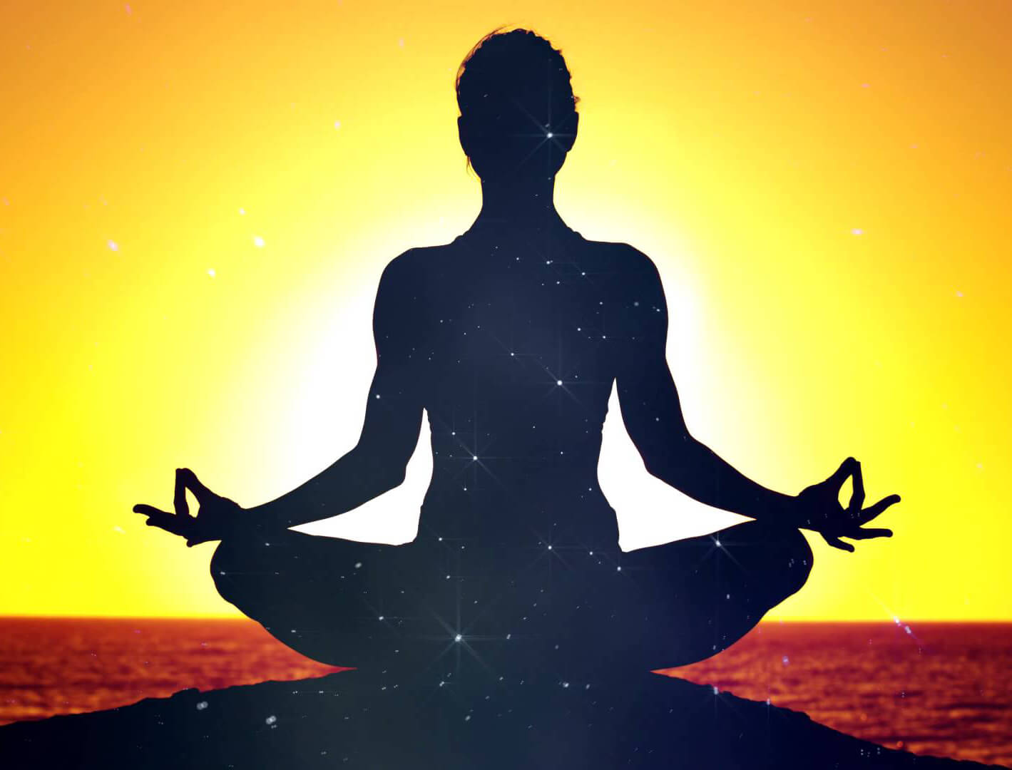 Workout Of My Life: Yoga the way to Workout of My Life