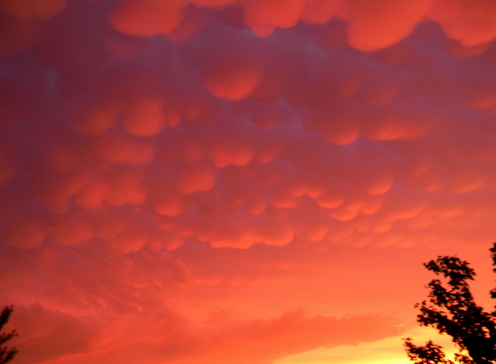These were the coolest little dollops of clouds I've ever seen. This ...