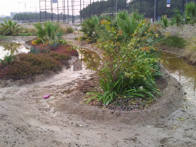 Life in Kuwait Blog: Mishref Park