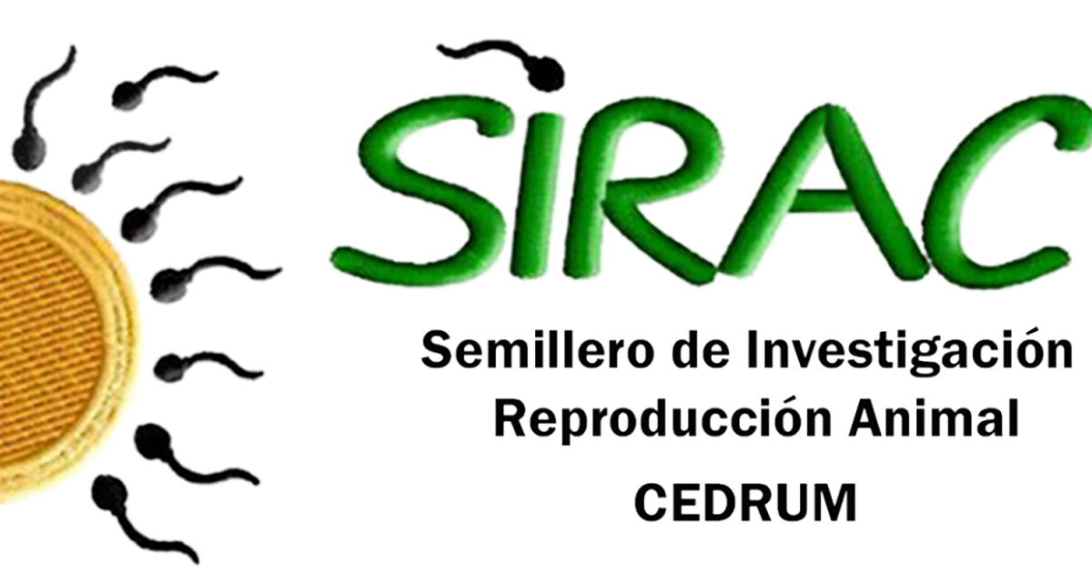 SENNOVA CEDRUM: SIRAC