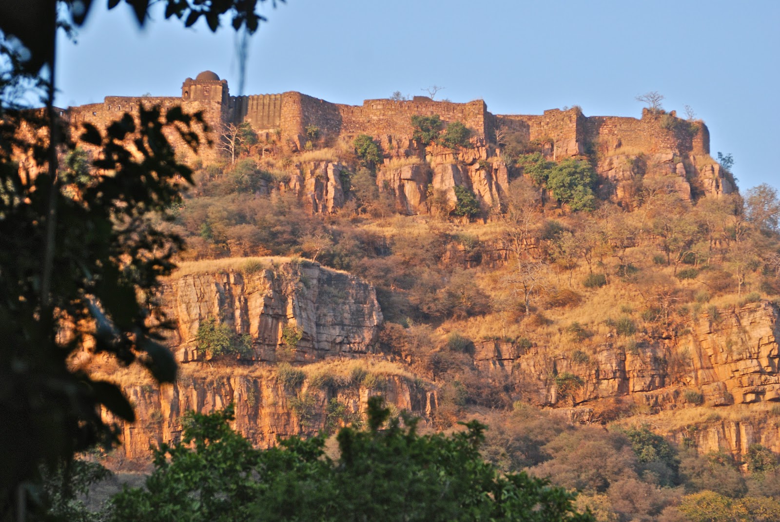 bell street journal: Ranthambore National Park