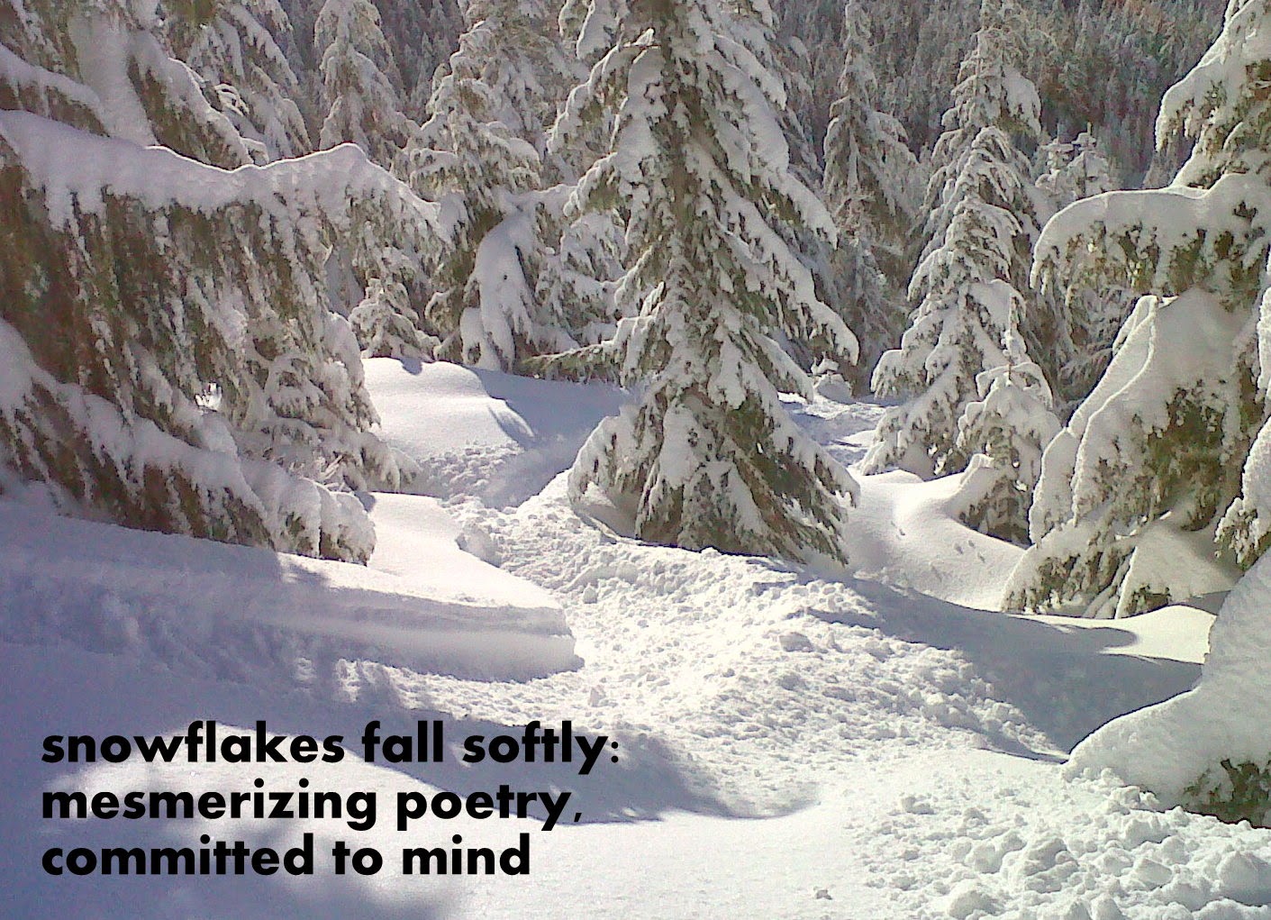 Words and Words and Whatnot . . .: snow haiku