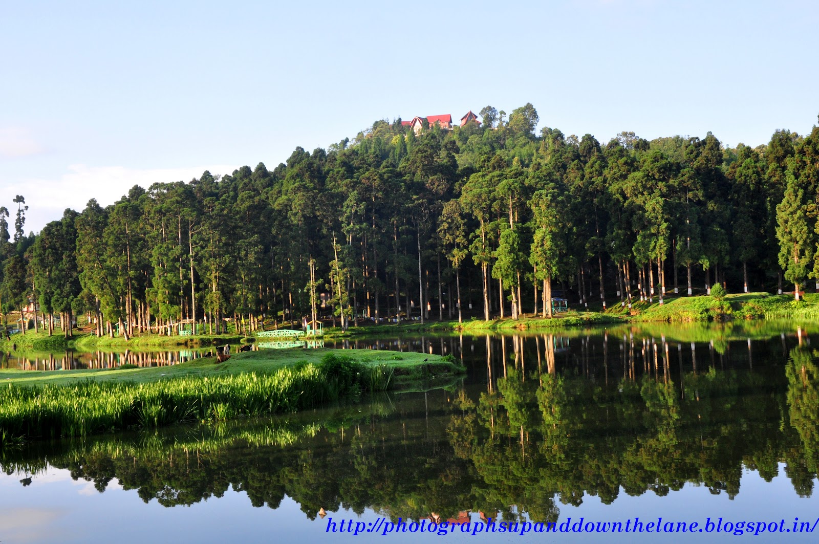 PHOTOGRAPHS UP AND DOWN THE LANE: Mirik