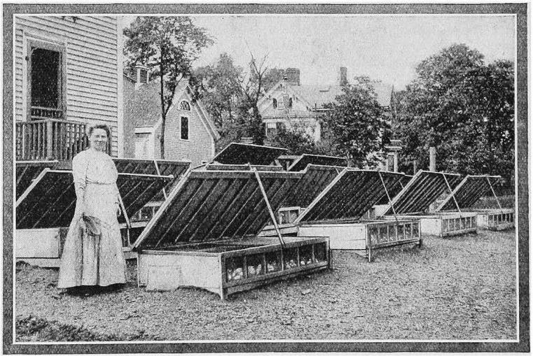 Chemung County Historical Society: The Philo National Poultry Institute ...