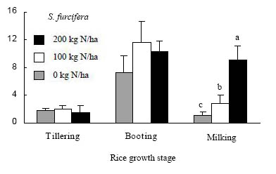 MUSUH ALAMI-PREDATOR: Kesan penggunaan baja kimia dengan unsur nitrogen ...