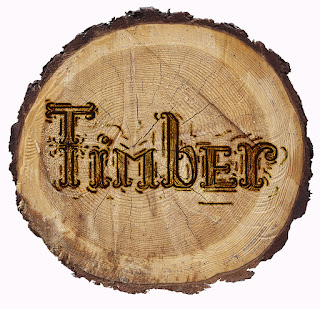 Katrick's Eyes: Timber Logo