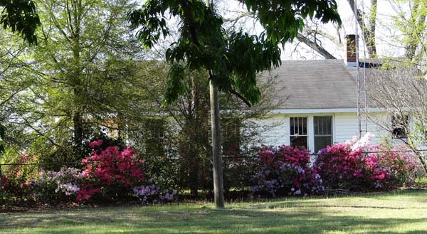 Reflections From the Fence: Rural Georgia in the Springtime, It's All ...