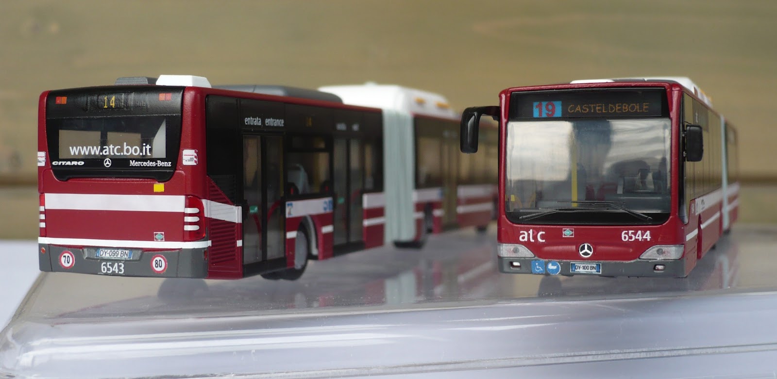 Autobus Bologna Roma Prezzie