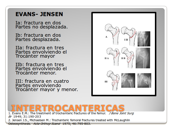 El Blog de Isa y Juan: Bestas bravas