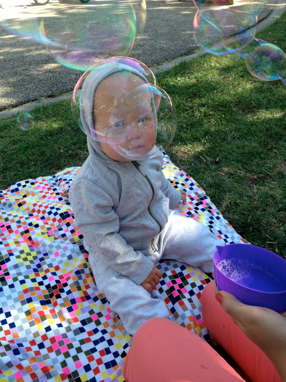 Stephen & Amanda: berkeley parks