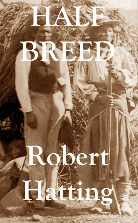 Blair-Pacific Publishing- Robert Hatting: New procedures for buying my ...