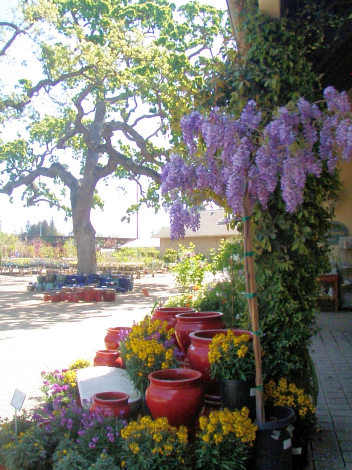 Cabin & Cottage : Happy Spring at Alden Lane