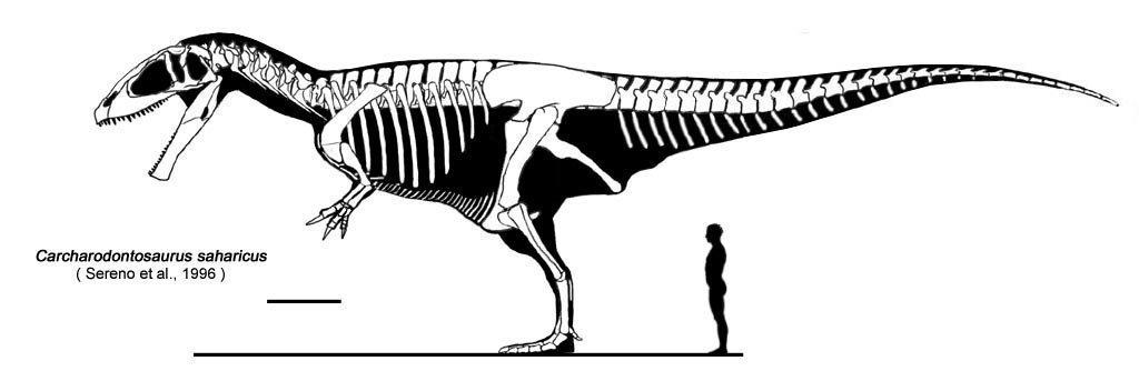 Enciclopédia Pré-histórica: Carcharodontossauro