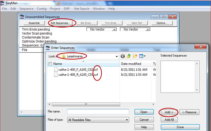 Learning Bioinformatics: 3. Editing in Seqman