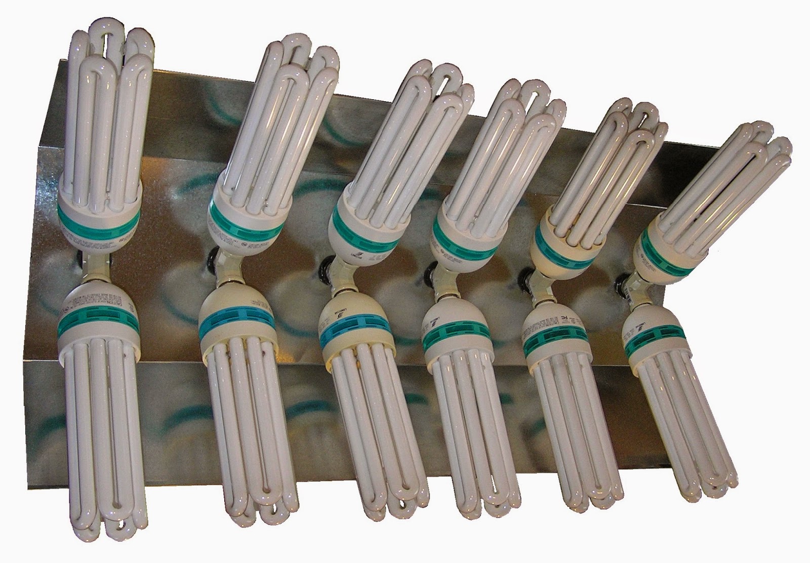 Super Powerful CFL Grow Lights Are HERE!: The How to: Cannabis Growers ...