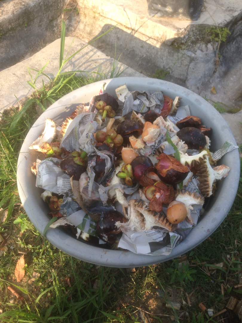 Jom Tanam Sayur ( JTS ) : Sisa Buah-Buahan Sebagai Bahan KomposJom ...