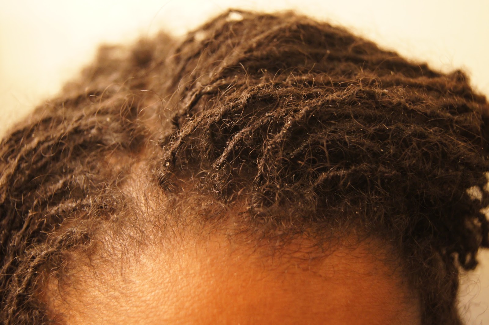 Retightening After Major Slippage | The Digital Loctician