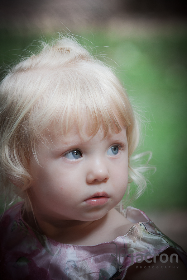 Jacron Photography.: Paul & Yvette, 12 December 2012. Whispering Tree ...