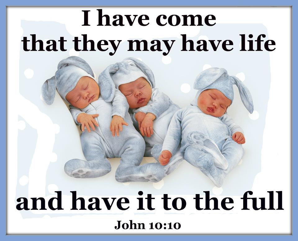 Designs by Birgit: Pro-life Corner: Easter SUNDAY, April 8, 2012