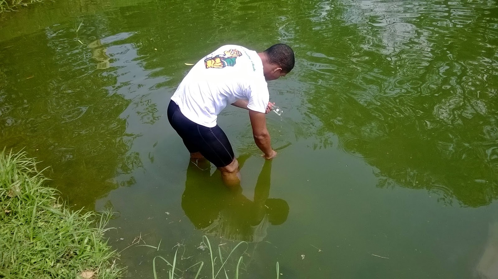 MONOCULTIVO DE CACHAMA (Colossoma sp) ~ ACUICULTURA CÓRDOBA