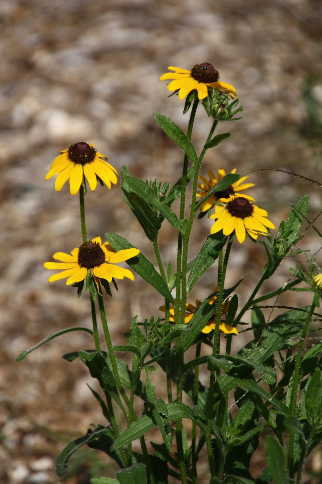 Block Island Year Round