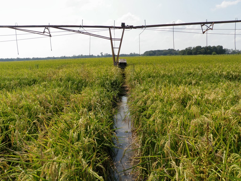 Growing the Conversation: by Valley Irrigation: Fall Maintenance Tips