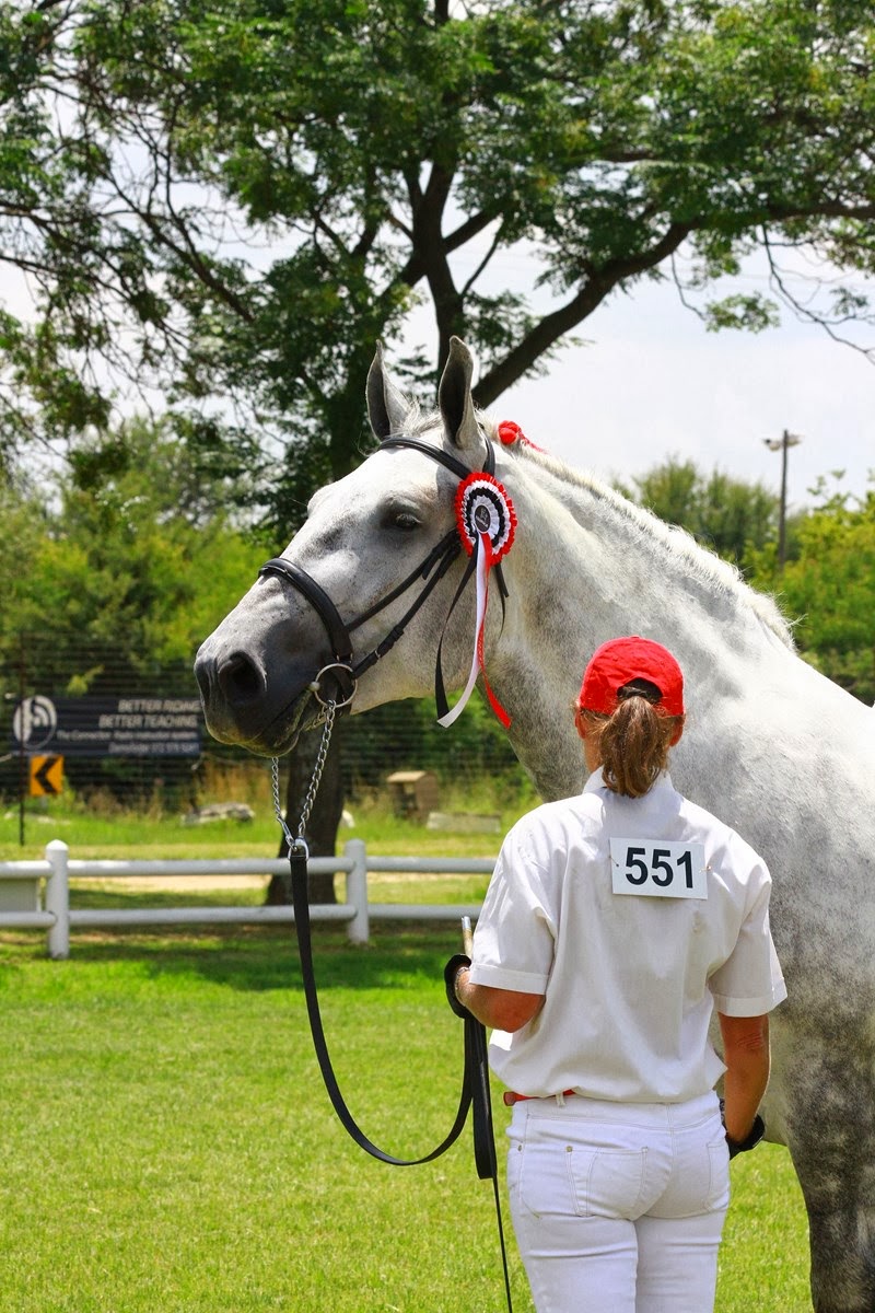 Summerwind Percheron: National Supreme Champion Percheron SA Mare ...