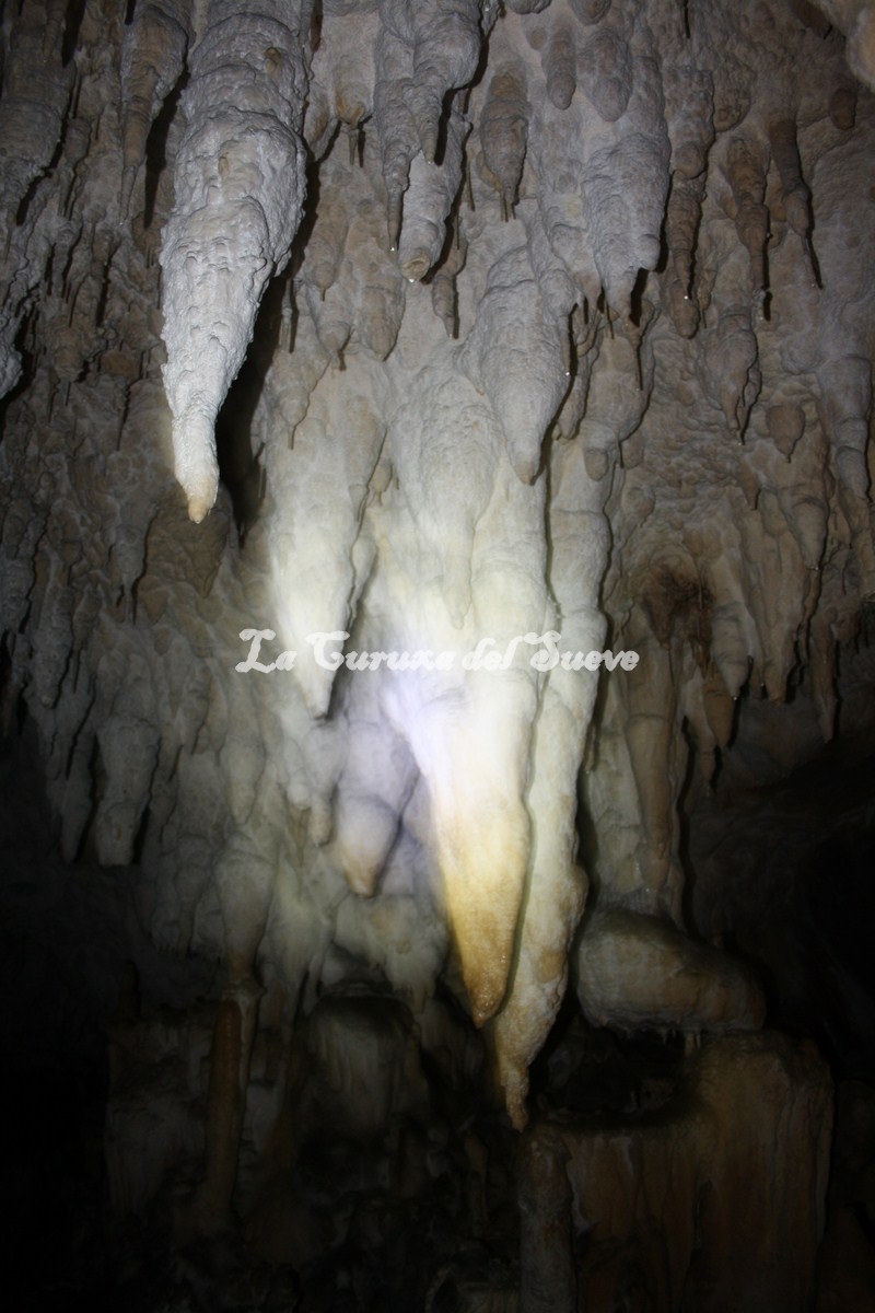 El Blog de La Curuxa del Sueve: CUEVA DE PANDO