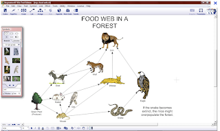 Ecosystems and Interactions: Food Web Chain Reaction Game
