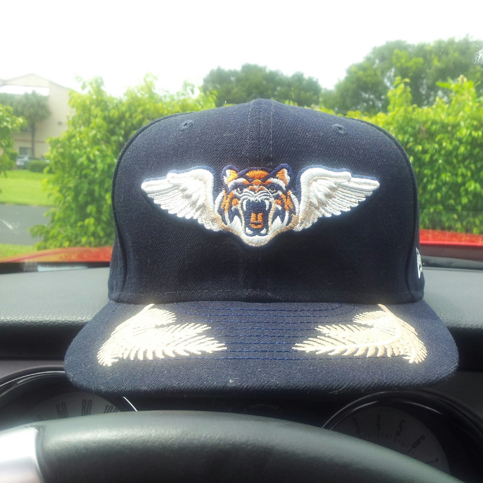 Hats and Tats: A Lifestyle: April 24- Lakeland Flying Tigers