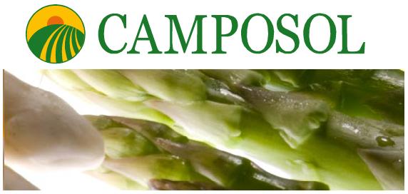 Empresa Camposol: Datos de la empresa