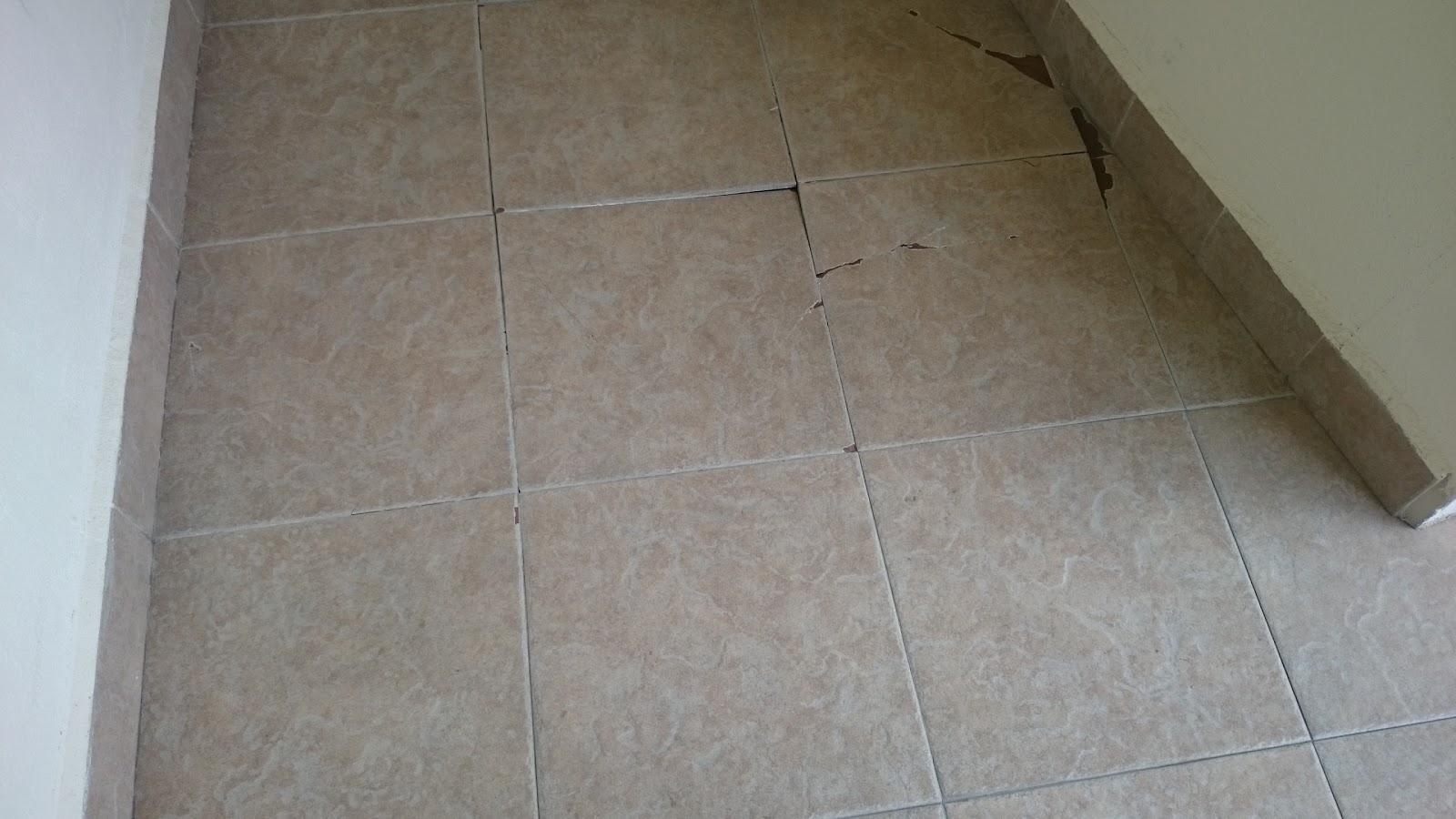 Reparar Piso De Baldosas