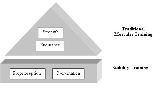 Mengenal Sejarah Pendekatan Fisioterapi Pada LBP (Low Back Pain)