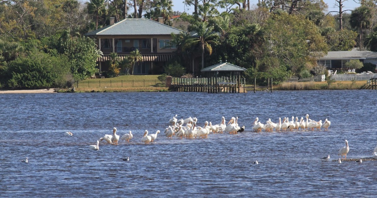 Gary's travels (DoubleEspresso): River rest area