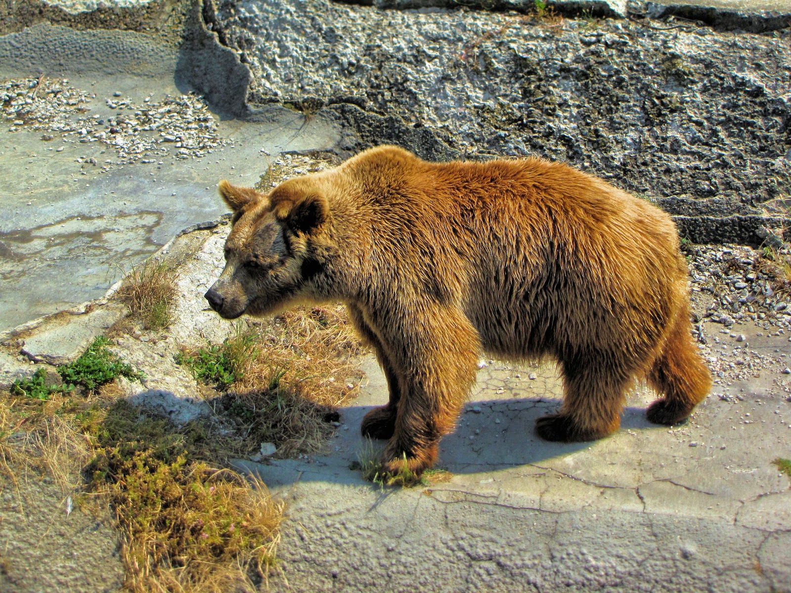 Maria M Photography: Zoo time