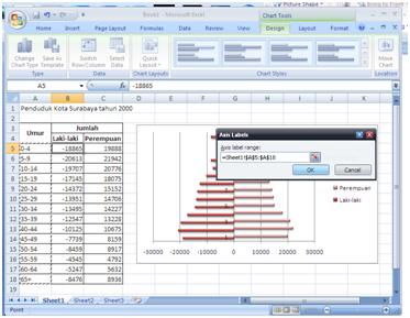 Tya Dewi Pamungkas: Membuat Grafik Piramida Penduduk di Microsoft Excel