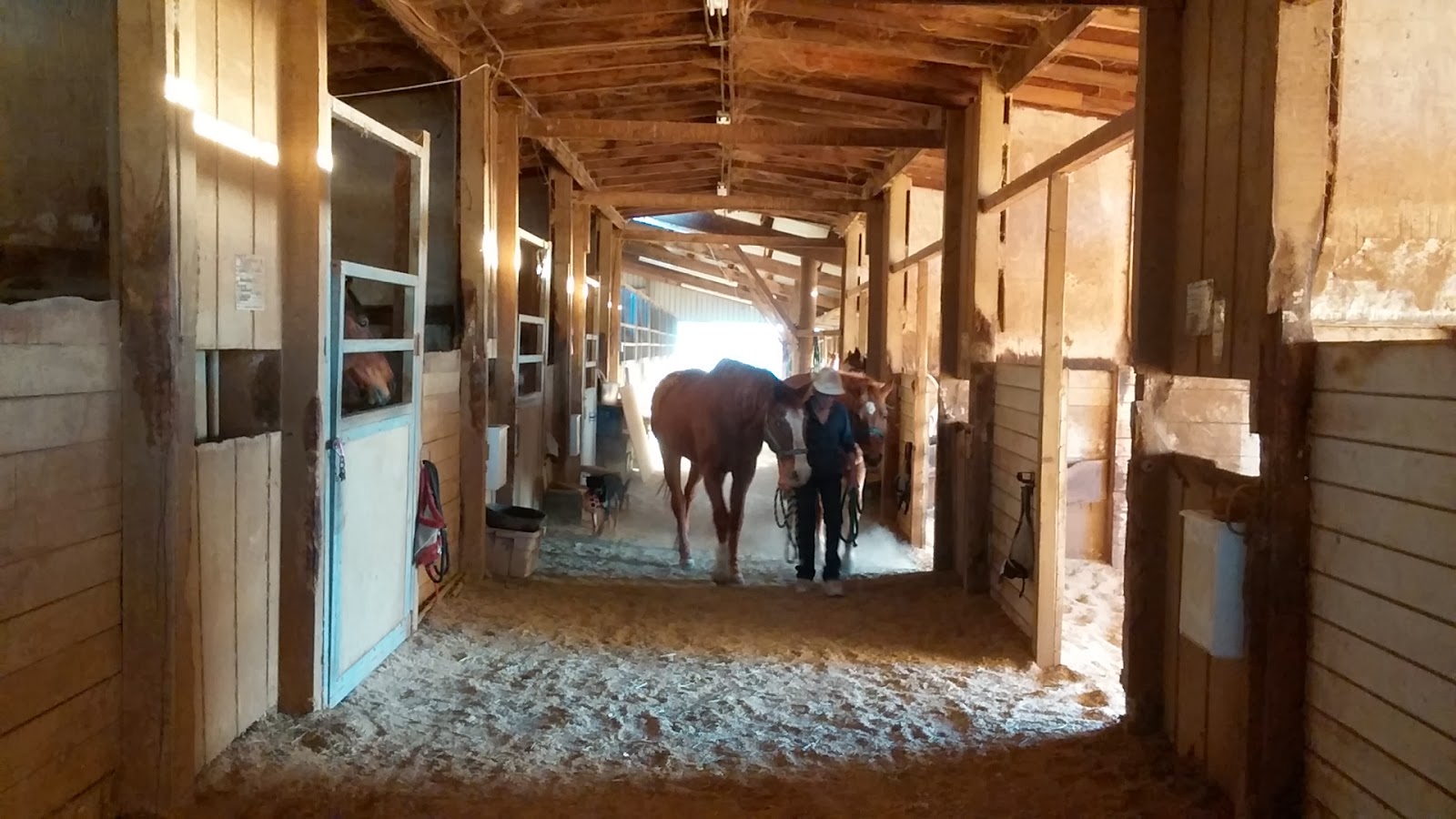 Seongsook's Creations: Photos taken at the Lucky Ranch