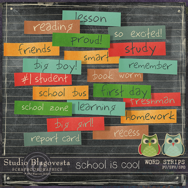 Blagovesta Gosheva's Blog: School is Cool!