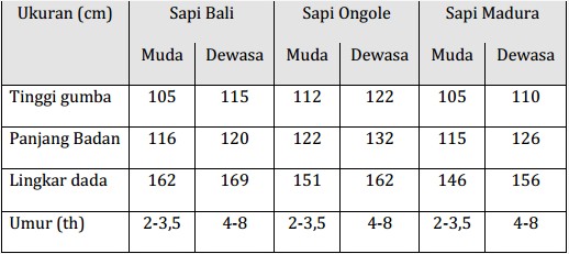 Inseminasi Buatan Pada Sapi - Materi Sekolah ( Gudang Ilmu )