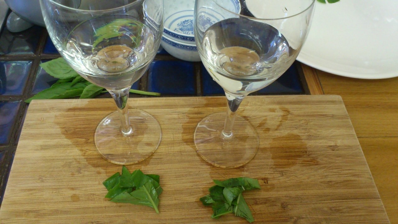 Vineyard Paul: Basil - Tear or Chop