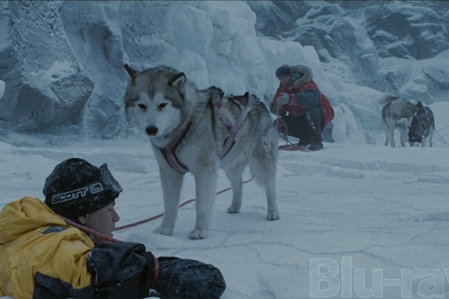 little Joy: 南极大冒险, Eight Below (2006)