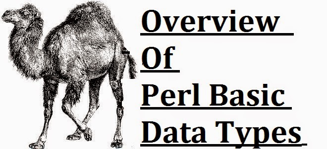Overview Of Perl Basic Data Types - Nothing Like Everything