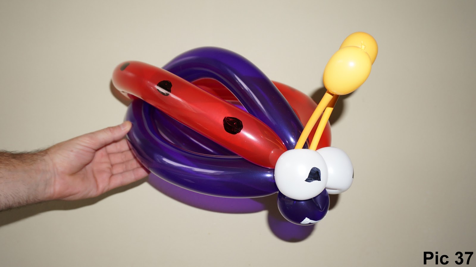 CLASSICAL: Balloon bug hat