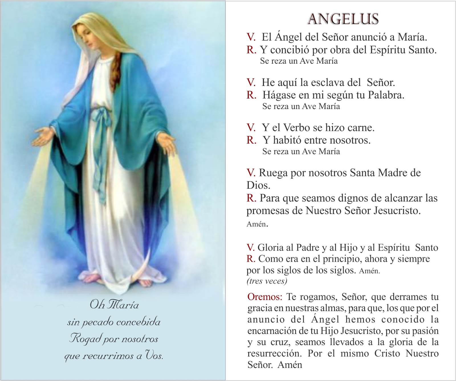 ® Virgen María, Ruega por Nosotros ®: ESTAMPA CON ORACIÓN DE EL ANGELUS