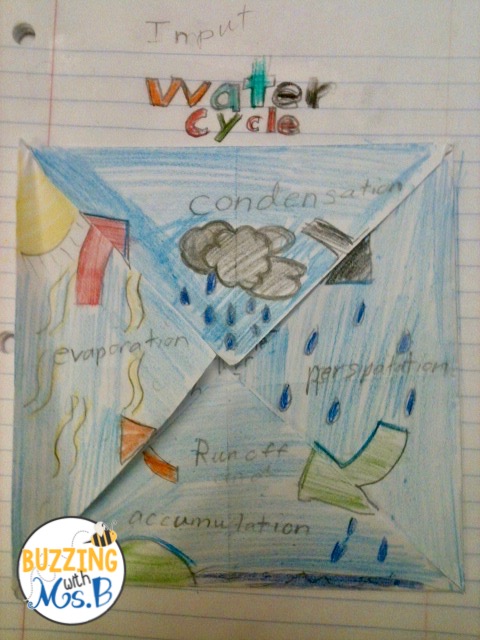 Water, water everywhere - Buzzing with Ms. B