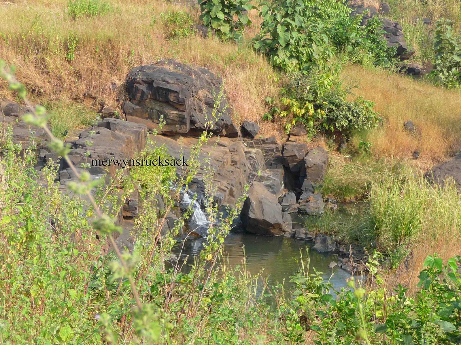 Unconquered Mahuli Fort Trek | The journey of a thousand miles begins ...