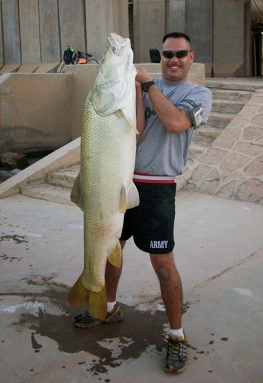 Big Fishes of the World: MANGAR (Luciobarbus Esocinus)