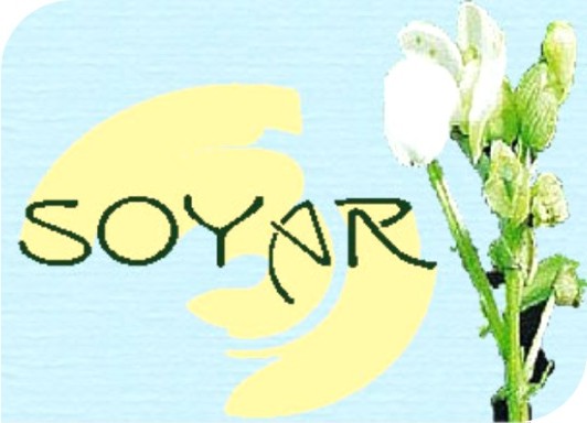 SOYAR - Vivir mejor: Empresa