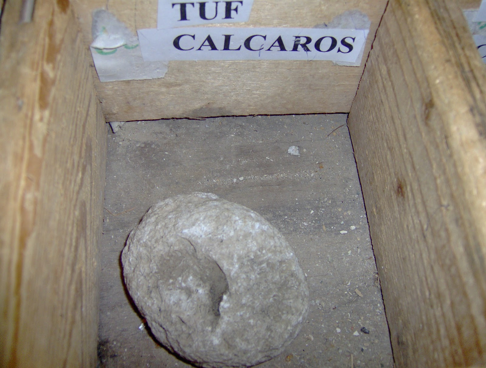 Silvicultura Brasov: Poze geologie ( roci )