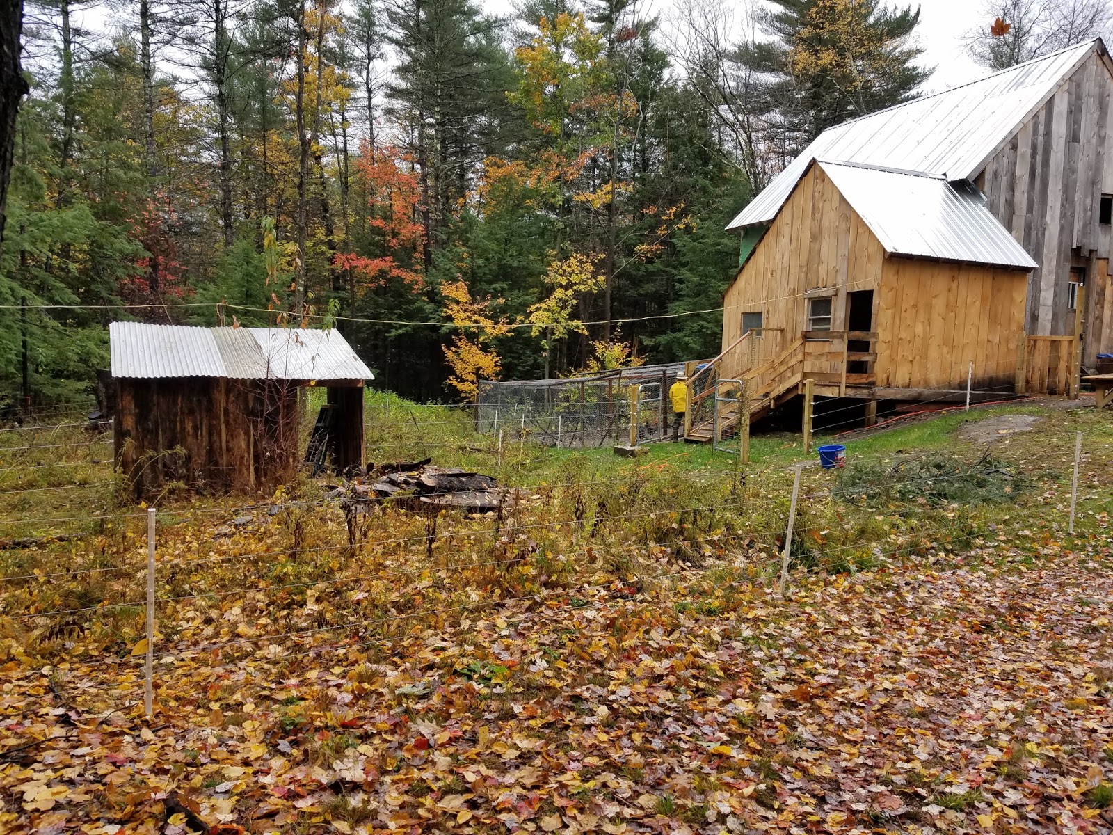 Linda Marcille, Fine Art ~ Crow House Studio: New Goat Hut For Upcoming ...